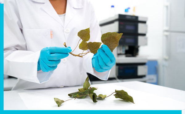 Bionorm - Production and Innovation