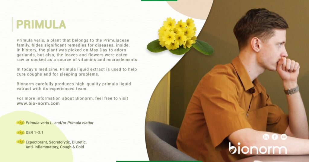 Primula Extract